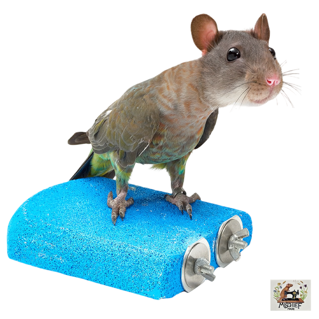 Lava ledge cage enrichment (large size) – Mischief Made